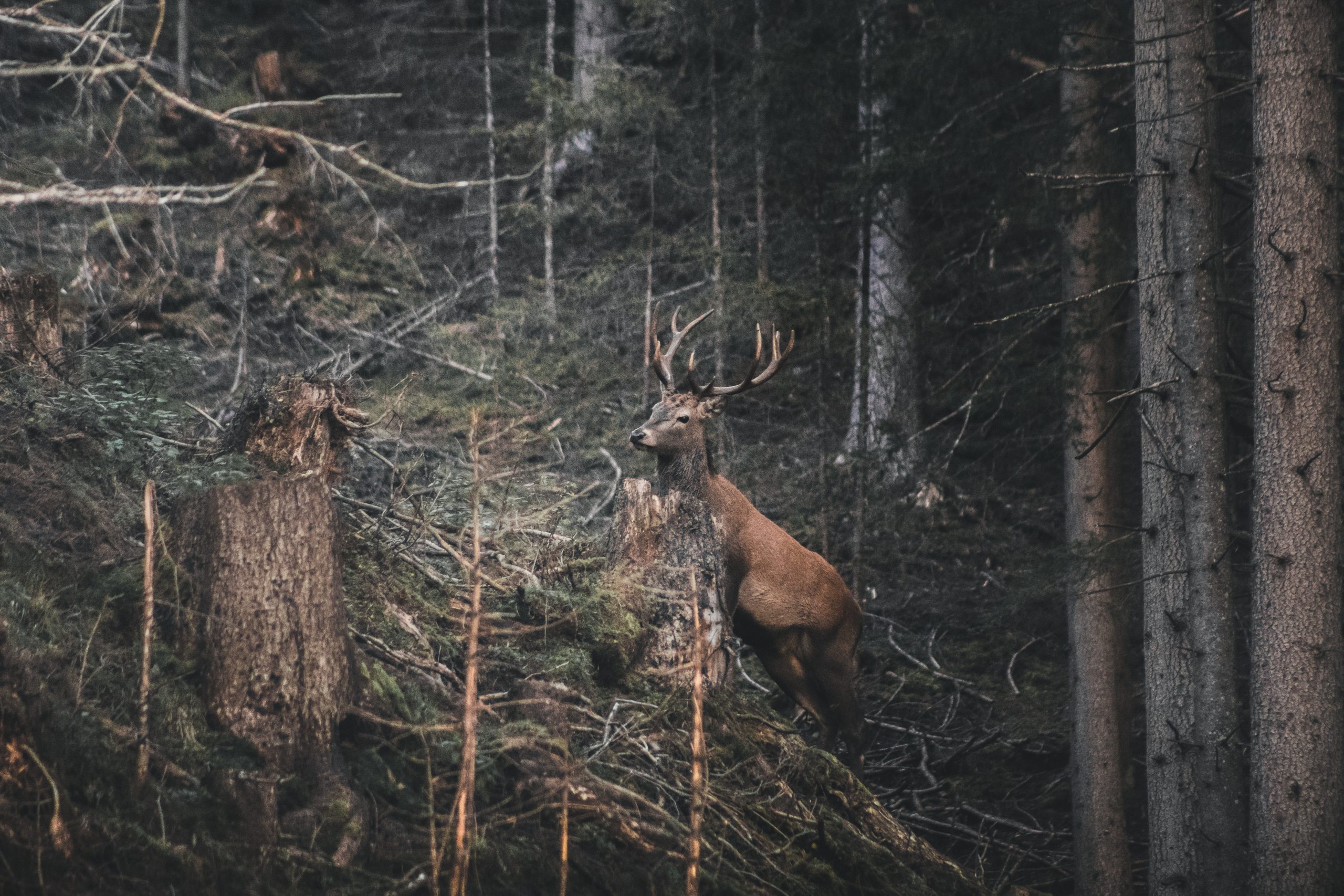 6 Ways To Help Prepare Your Child To Hunt - Texarkana Parent Magazine